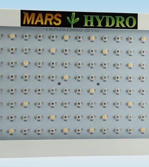 Large 2 x 600w Led Grow Tent kit